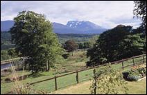 Farmhouse B&B and farm self catering accommodation in Scotland